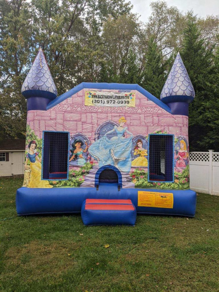Disney Princess - Backyard Inflatables