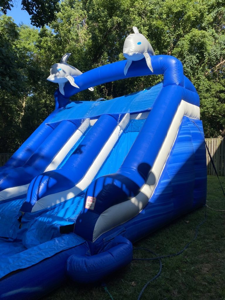 Dolphin Dual Lane Water Slide - Backyard Inflatables